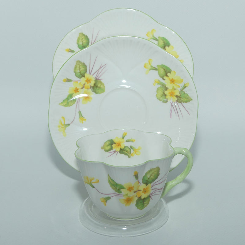 Shelley Dainty Shape Primrose pattern trio | 13430 | Shelley trios ...
