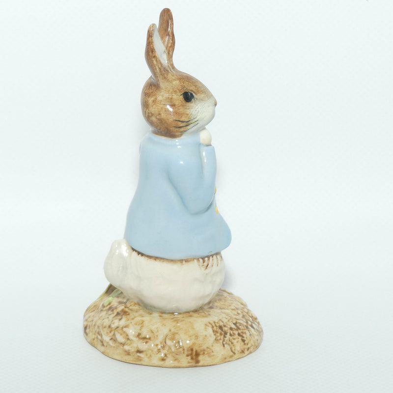 Royal Albert Beatrix Potter Peter and the Red Pocket Handkerchief | BP ...