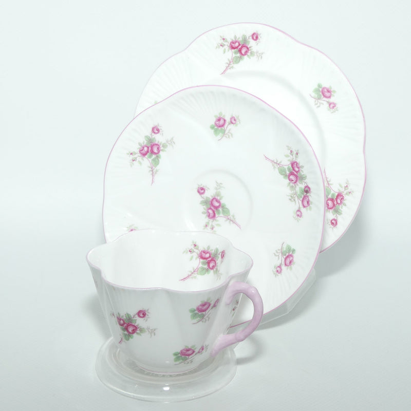 Shelley Dainty shape Rose Spray trio | Pattern 13545 – Roundabout Antiques