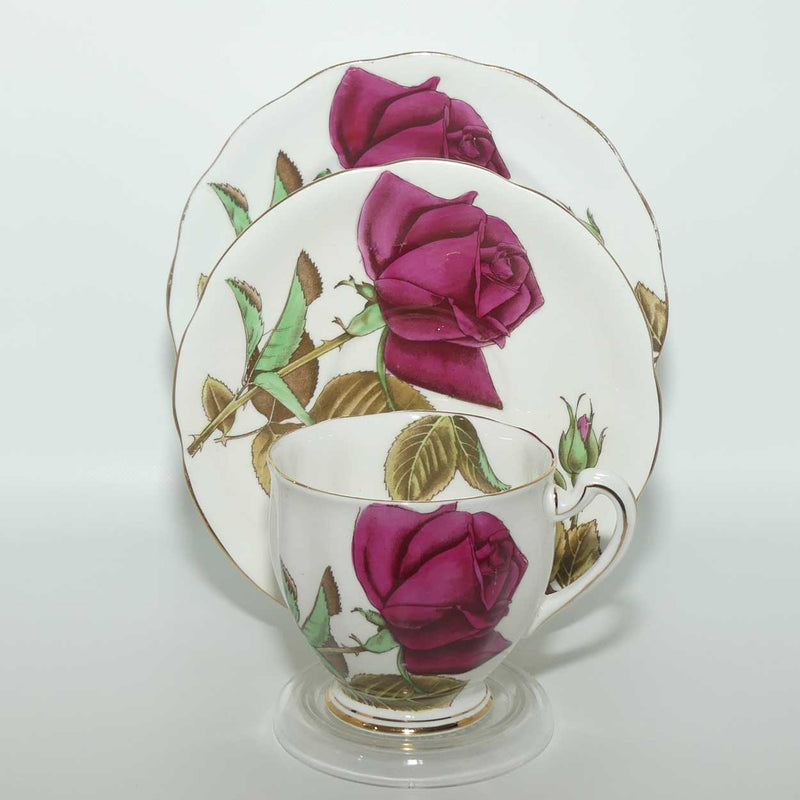 Royal Standard English Rose tea trio – Roundabout Antiques