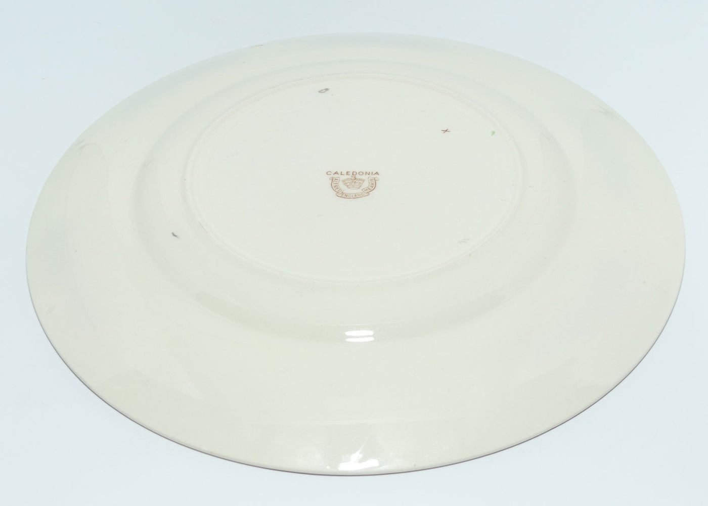 Alfred Meakin Caledonia plate | 25cm – Roundabout Antiques